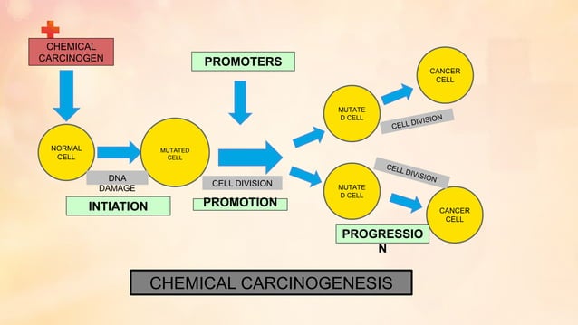 Carcinogens presentation ppt introduction of carcinogens and types of ...