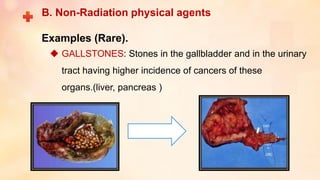 Carcinogens presentation ppt introduction of carcinogens and types of ...