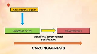 Carcinogens presentation ppt introduction of carcinogens and types of ...