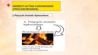 Carcinogens presentation ppt introduction of carcinogens and types of ...