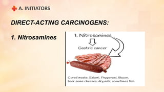 Carcinogens and biological carcinogens chemical carcinogens physical ...