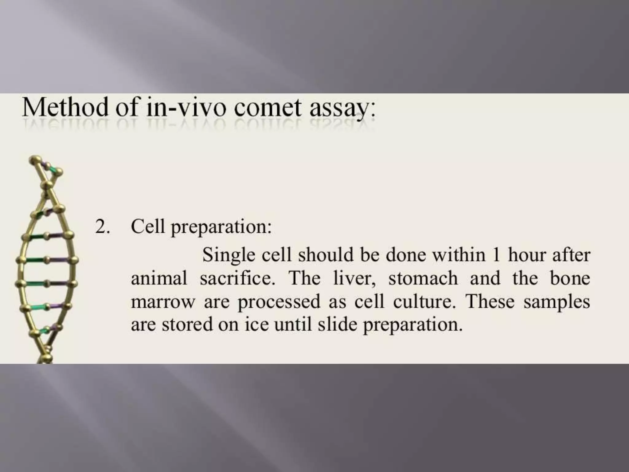 AISHWARY COMET ASSAY.pptx