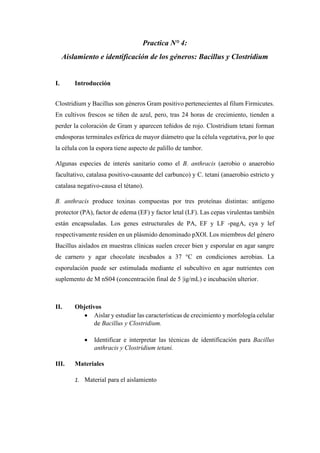 Aislamiento e identificación de Bacillus y Clostridium.pdf
