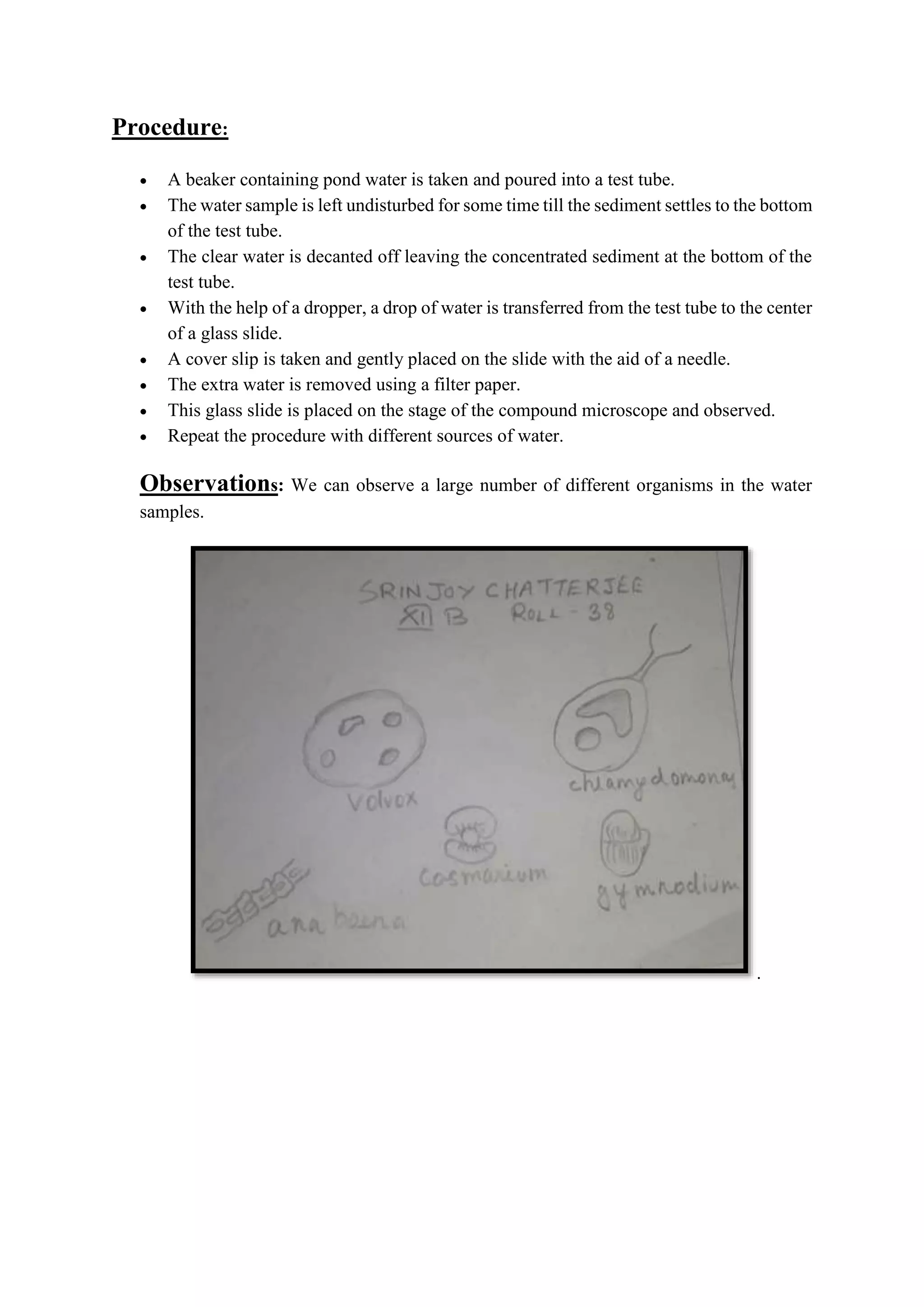 CBSE Class 12 Biology Practical .docx