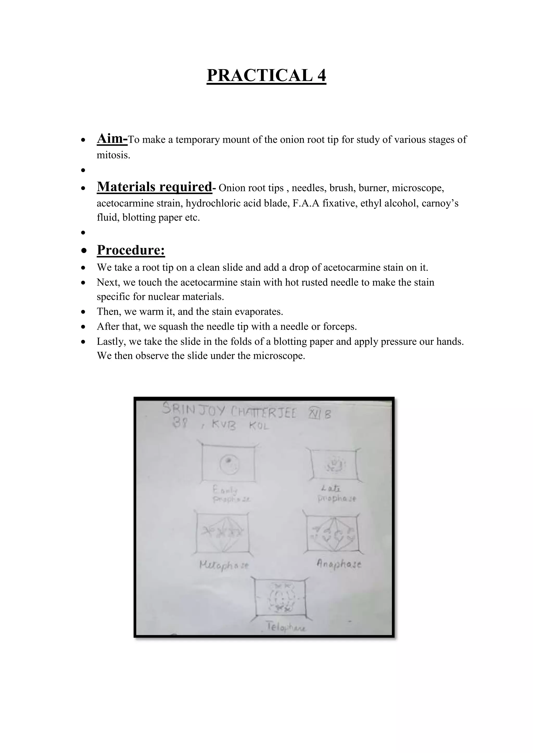 CBSE Class 12 Biology Practical .docx
