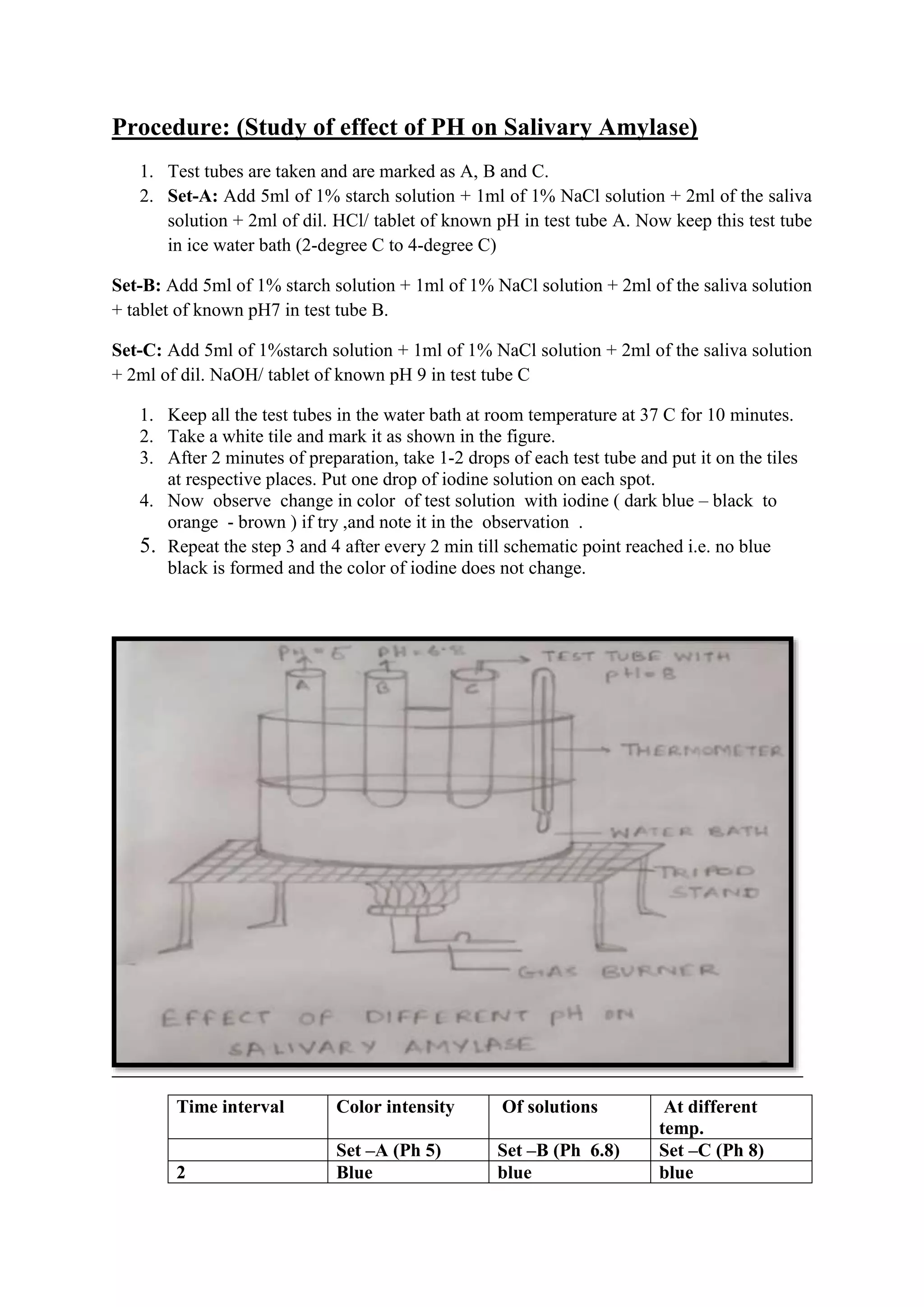CBSE Class 12 Biology Practical .docx