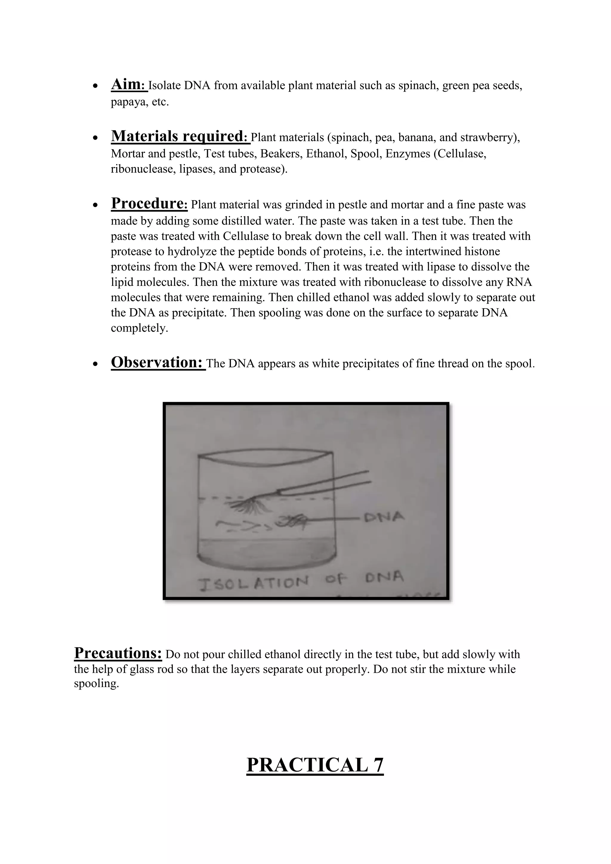 CBSE Class 12 Biology Practical .docx