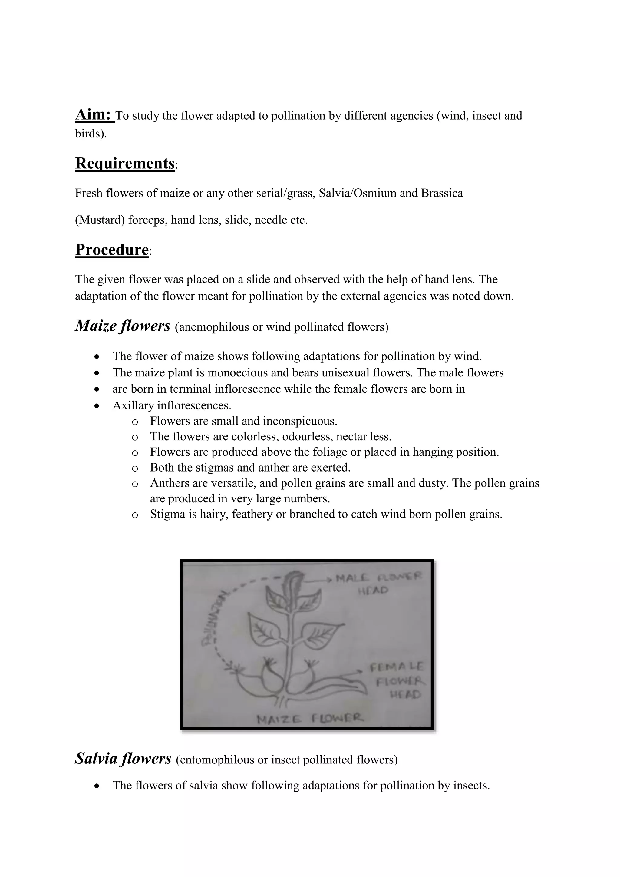 CBSE Class 12 Biology Practical .docx