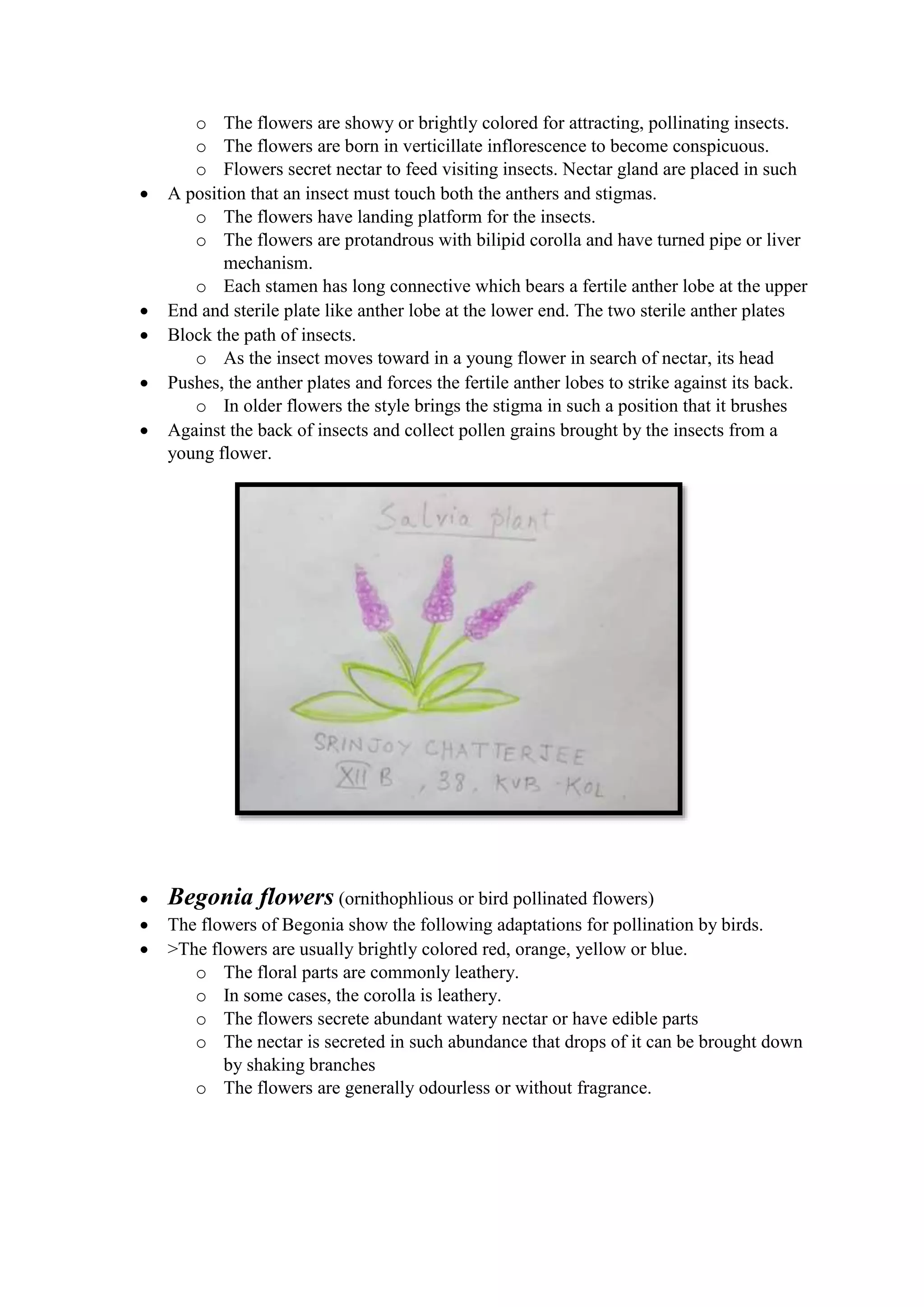 CBSE Class 12 Biology Practical .docx