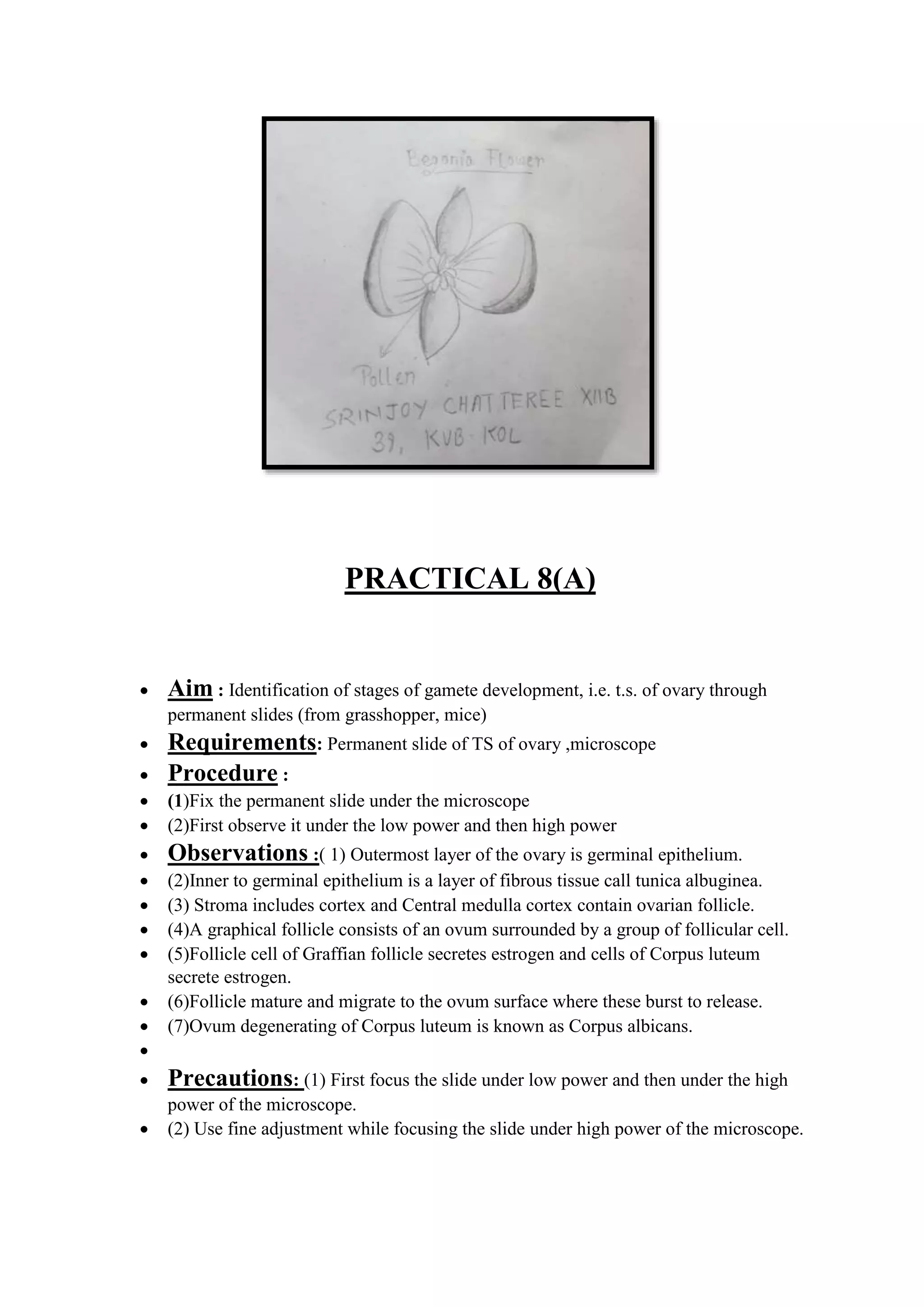 CBSE Class 12 Biology Practical .docx