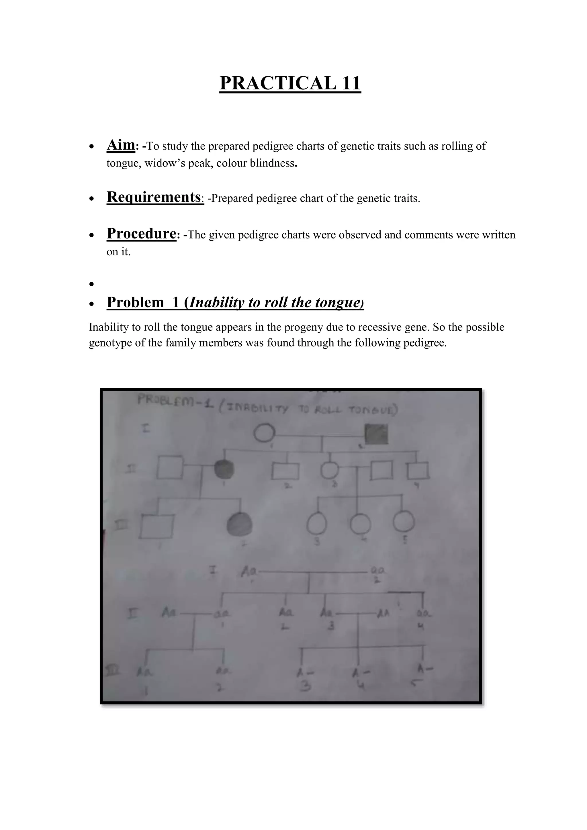 CBSE Class 12 Biology Practical .docx