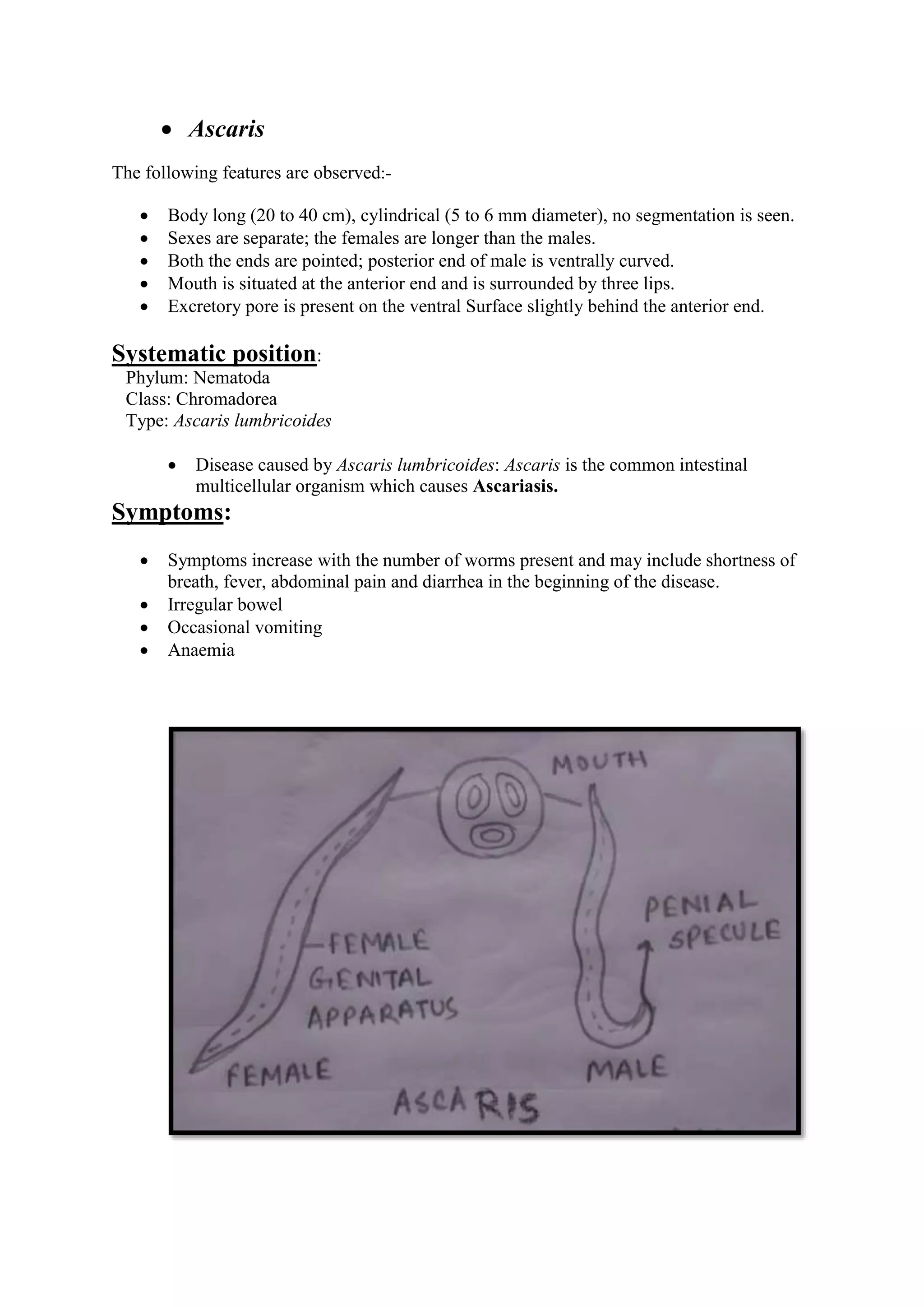 CBSE Class 12 Biology Practical .docx