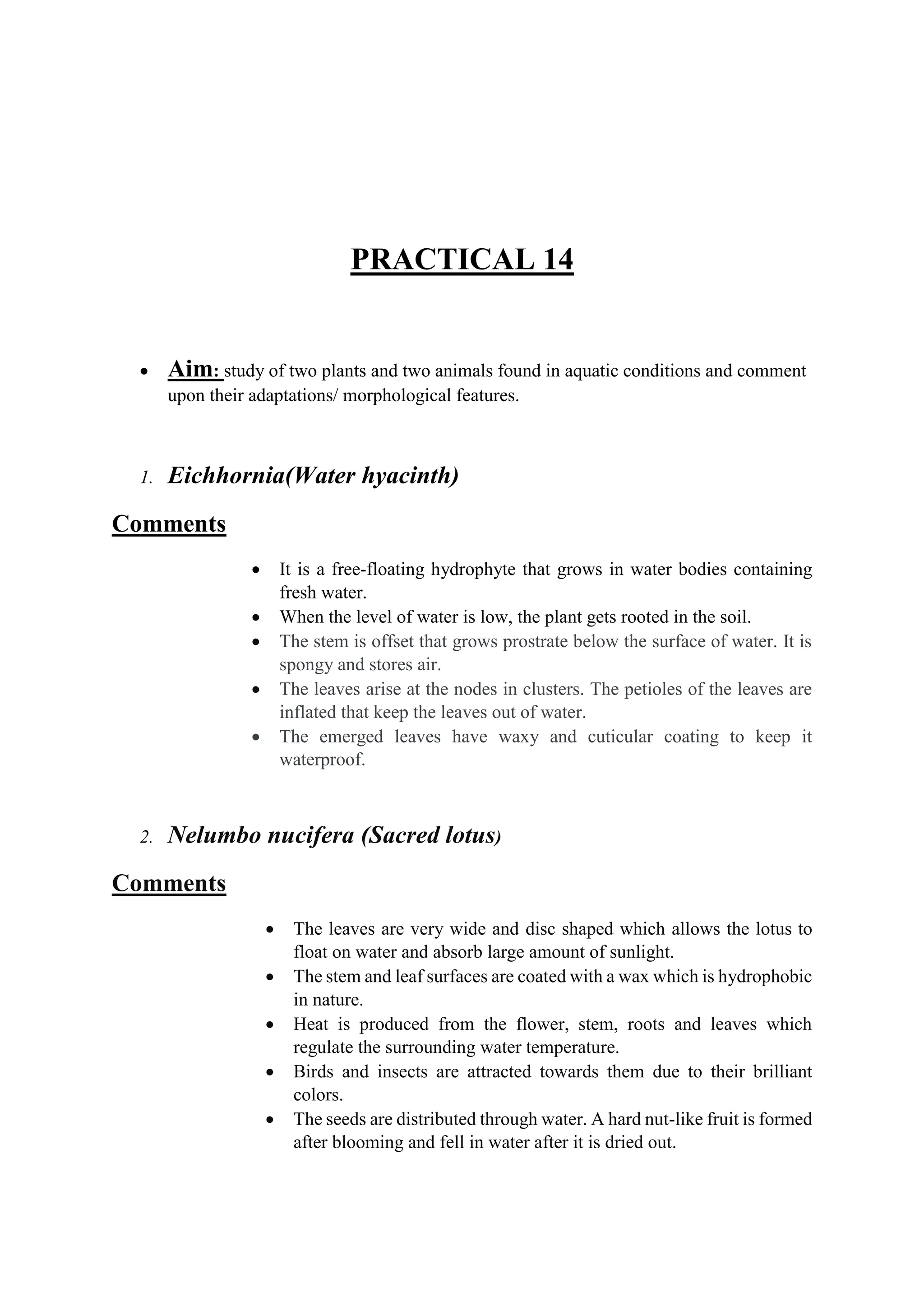 CBSE Class 12 Biology Practical .docx