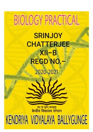 CBSE Class 12 Biology Practical .docx