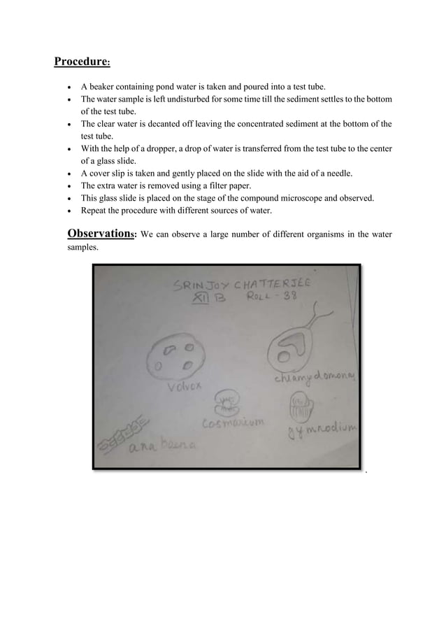 CBSE Class 12 Biology Practical .docx