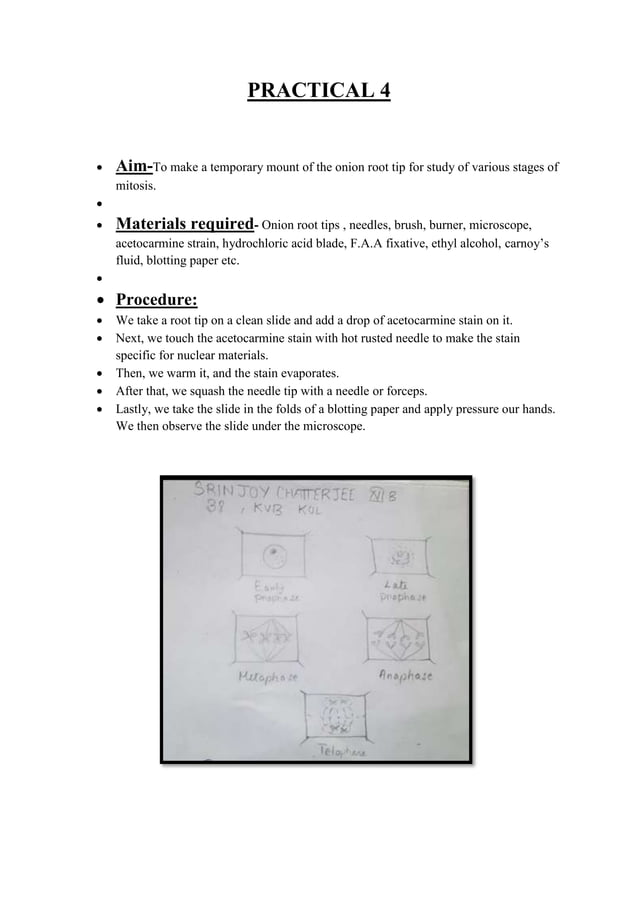 CBSE Class 12 Biology Practical .docx
