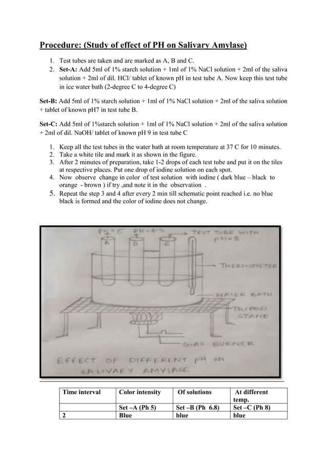 CBSE Class 12 Biology Practical .docx