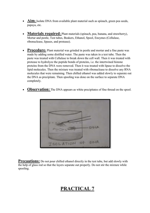 CBSE Class 12 Biology Practical .docx