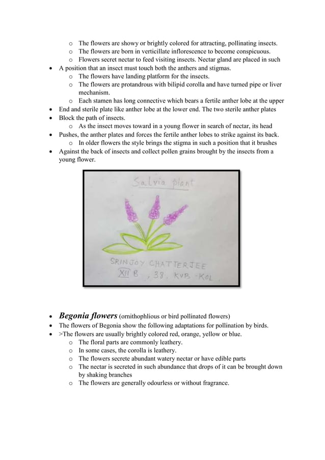 CBSE Class 12 Biology Practical .docx