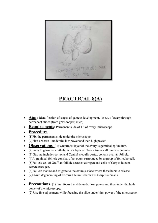 CBSE Class 12 Biology Practical .docx