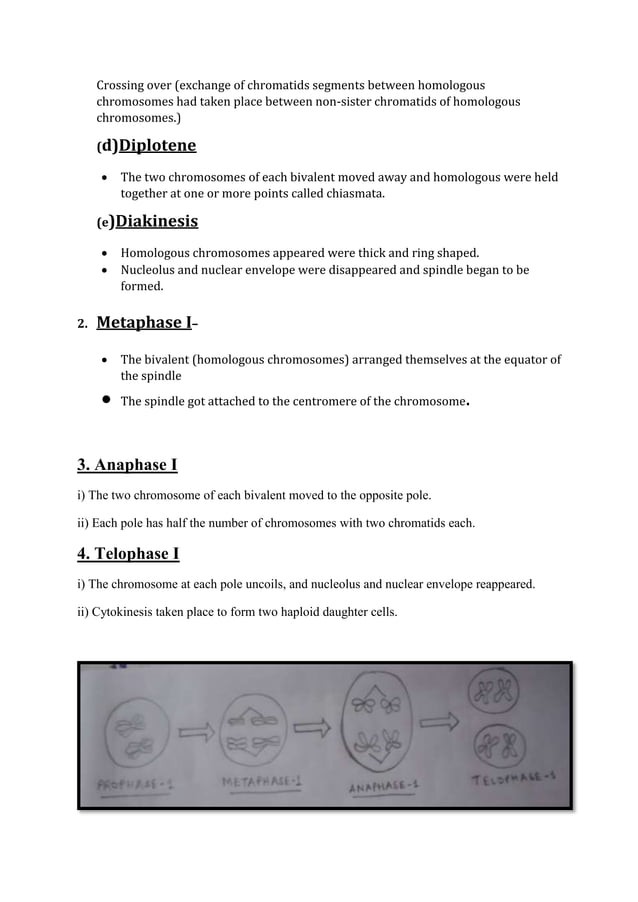 CBSE Class 12 Biology Practical .docx