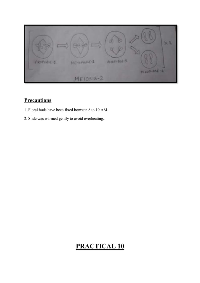CBSE Class 12 Biology Practical .docx