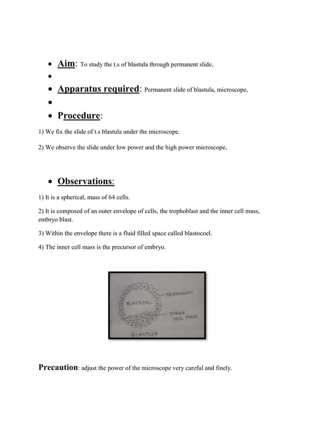 CBSE Class 12 Biology Practical .docx