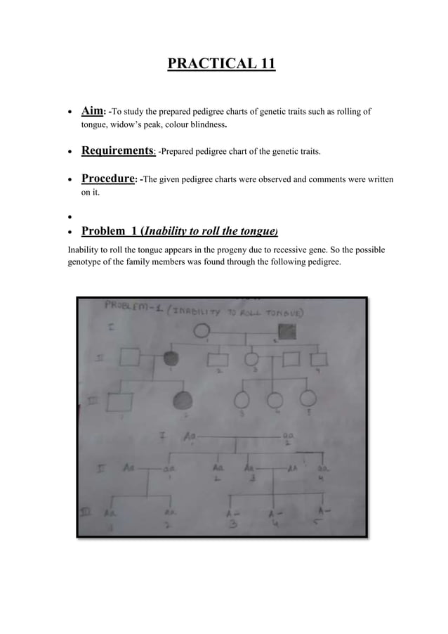 CBSE Class 12 Biology Practical .docx