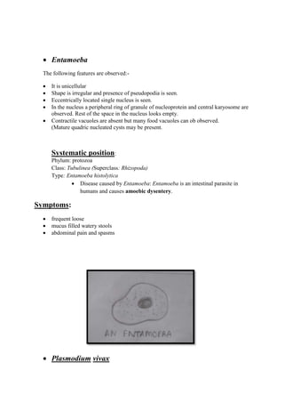 CBSE Class 12 Biology Practical .docx