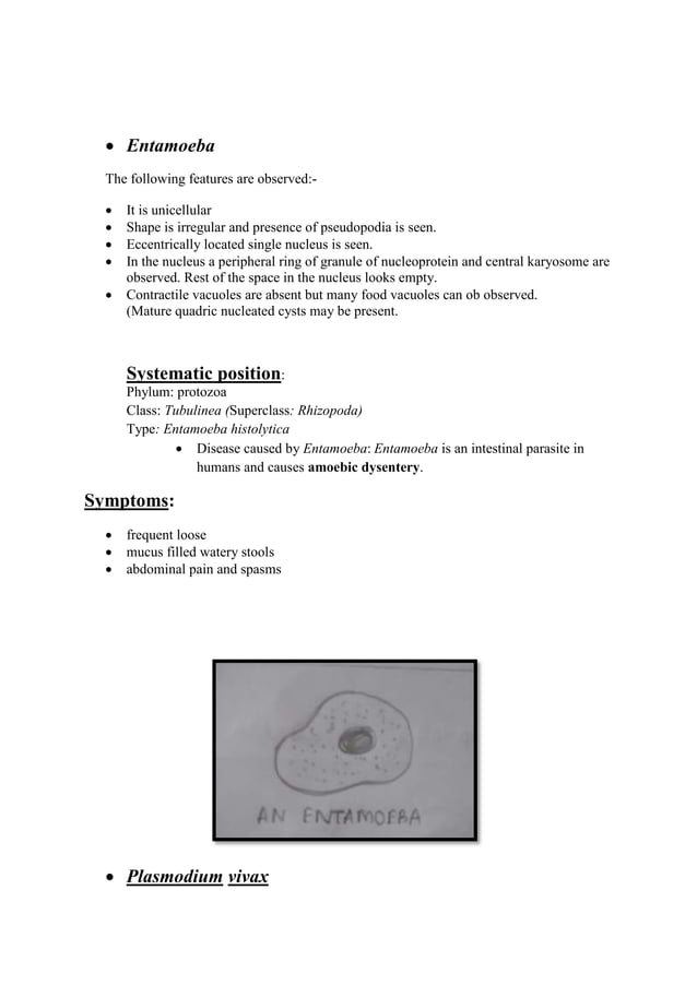 CBSE Class 12 Biology Practical .docx