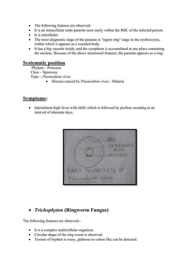 CBSE Class 12 Biology Practical .docx