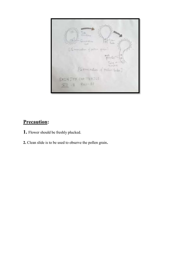 CBSE Class 12 Biology Practical .docx