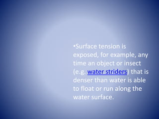 surface tension power point presentation | PPTX