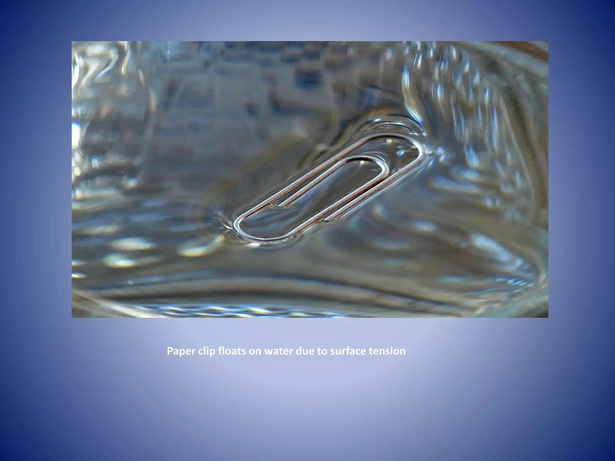 surface tension power point | PPTX