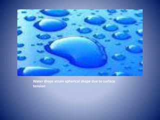 surface tension power point | PPTX