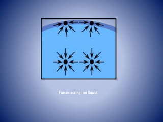 surface tension power point | PPTX