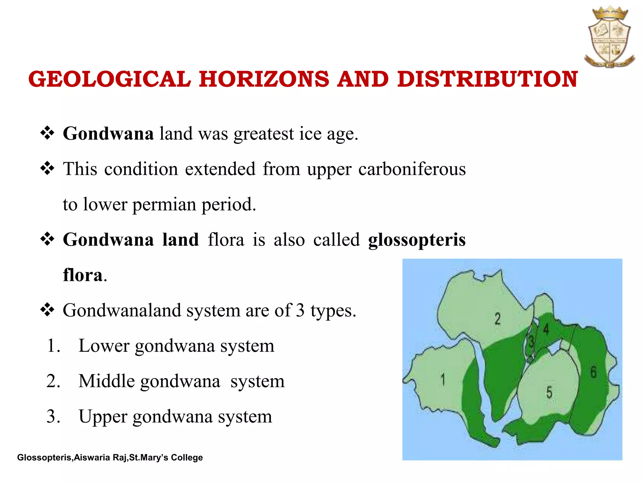 Botony-PREDOMINANT GYMNOSPERMS: GLOSSOPTERIS | PPTX