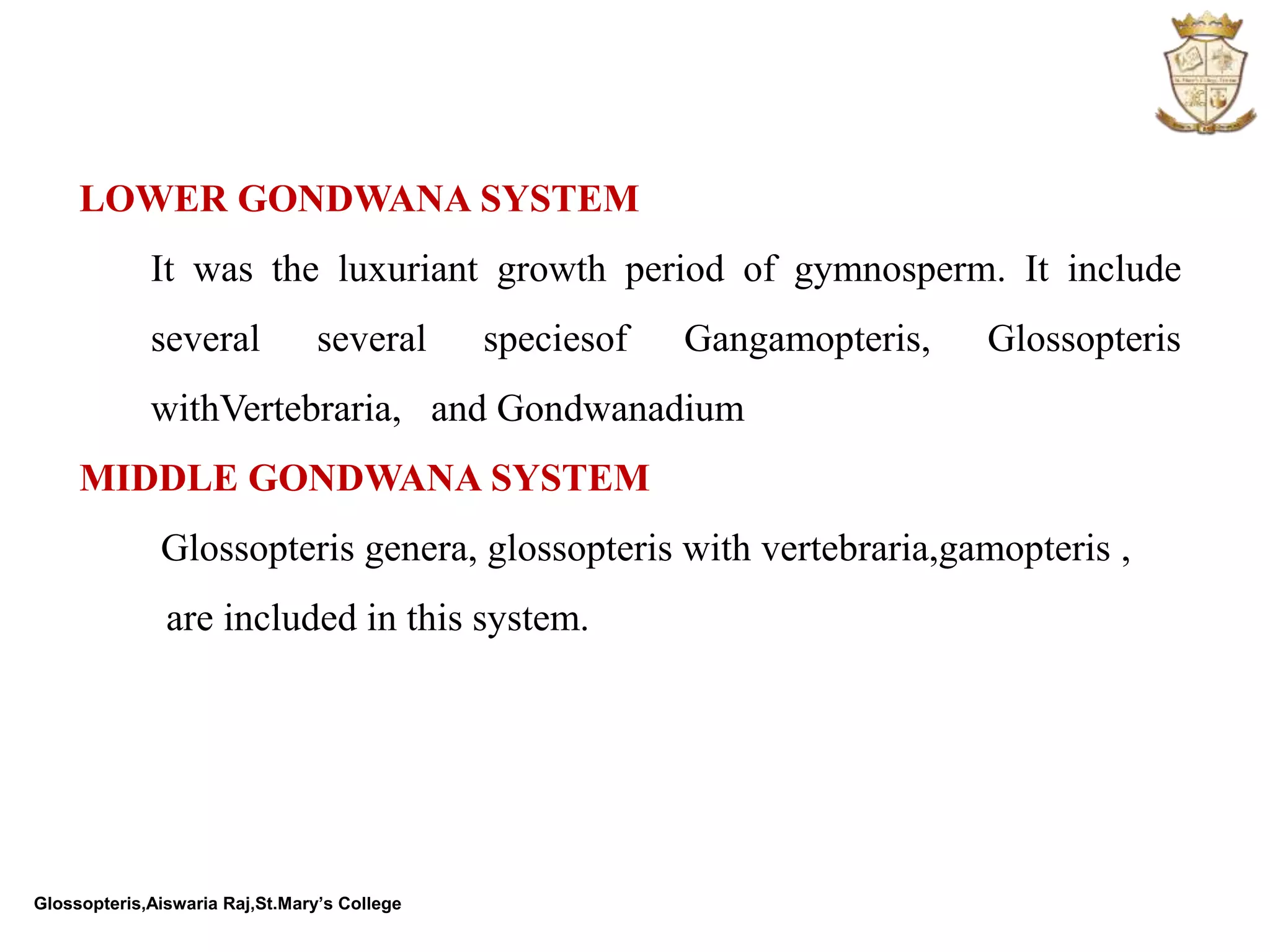 Botony-PREDOMINANT GYMNOSPERMS: GLOSSOPTERIS | PPTX
