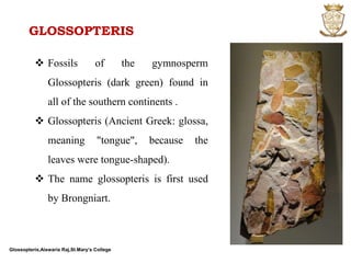 Botony-PREDOMINANT GYMNOSPERMS: GLOSSOPTERIS | PPTX
