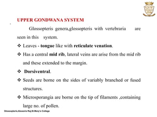 Botony-PREDOMINANT GYMNOSPERMS: GLOSSOPTERIS | PPTX