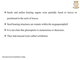 Botony-PREDOMINANT GYMNOSPERMS: GLOSSOPTERIS | PPTX