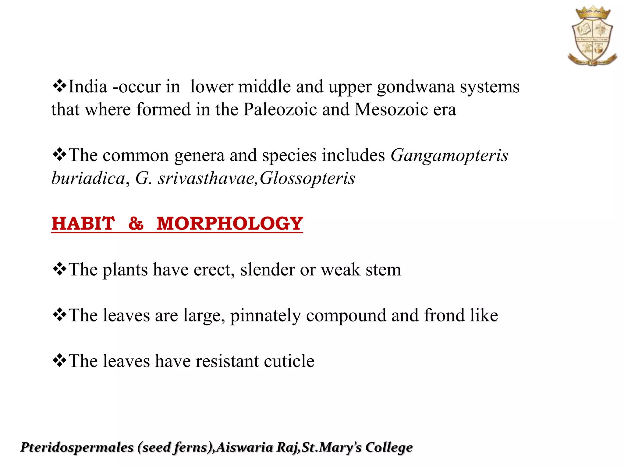 Botany:Pteridospermales (Seed Ferns) | PPTX
