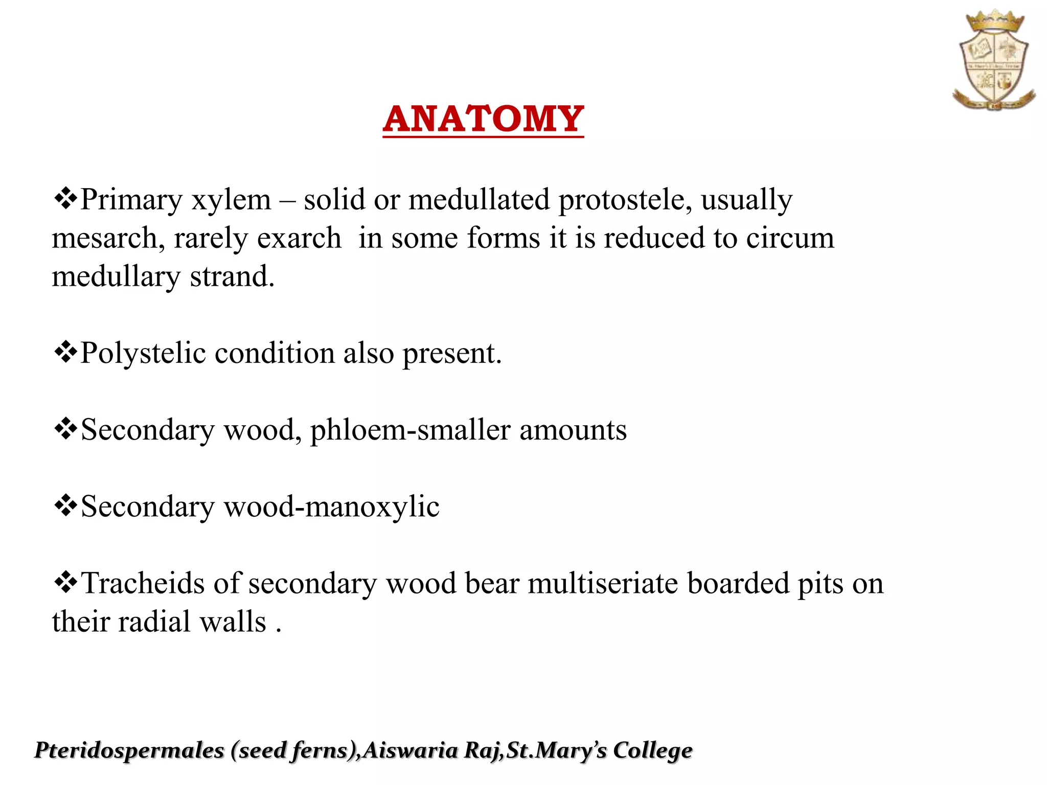 Botany:Pteridospermales (Seed Ferns) | PPTX