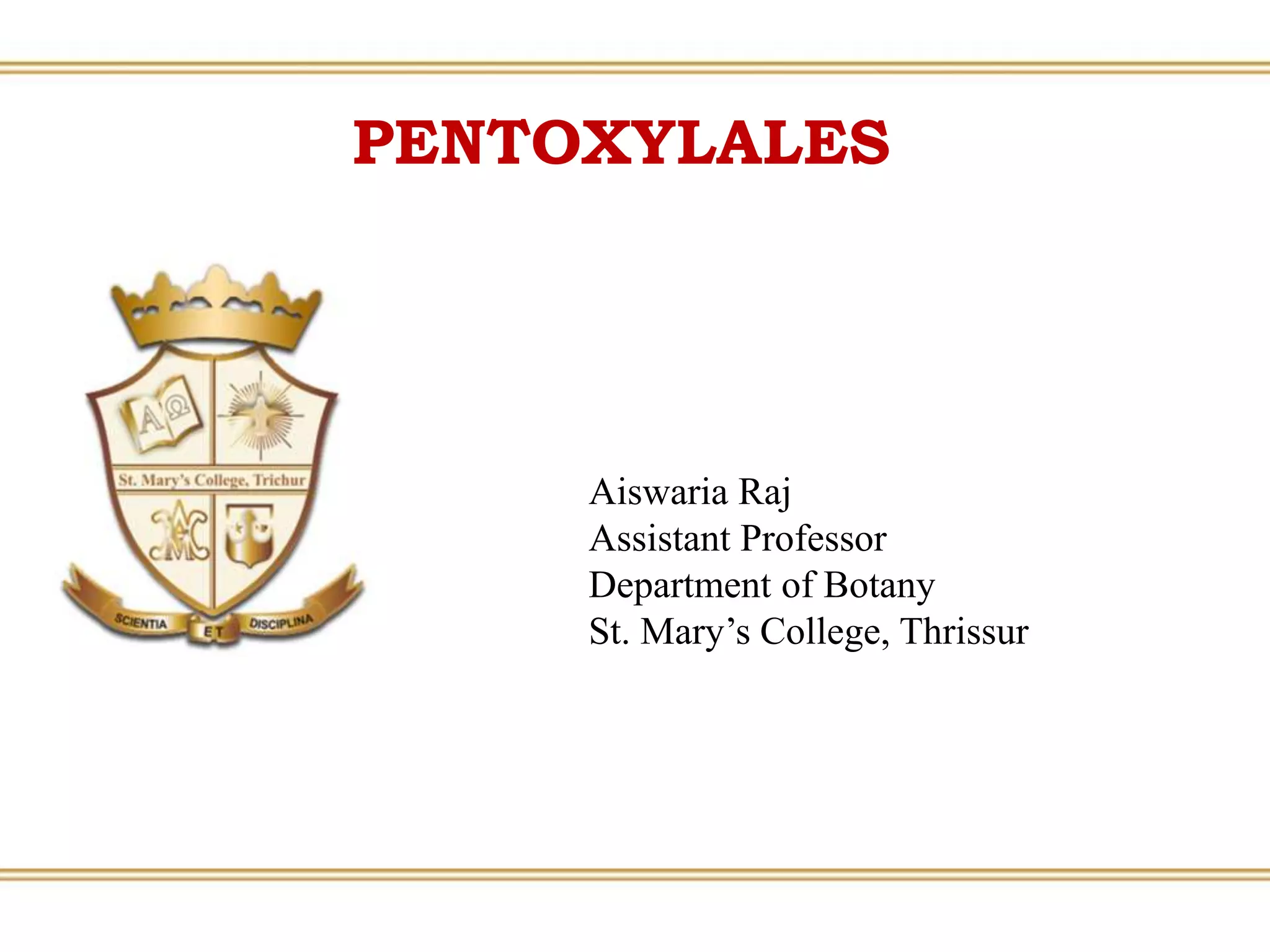 Botany:Pentoxylales | PPTX