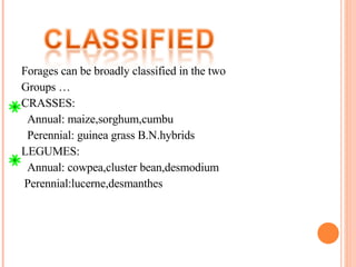 fodder crops | PPT