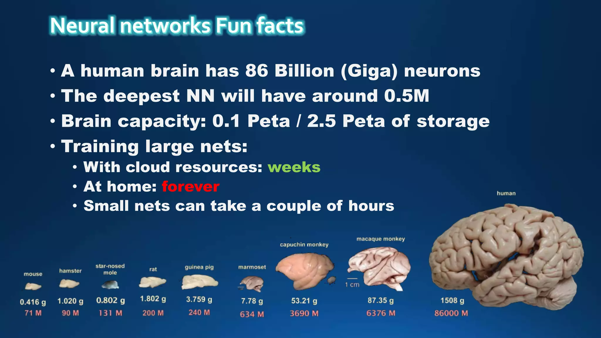 AI: the silicon brain | PPTX | Artificial Intelligence | Technology ...