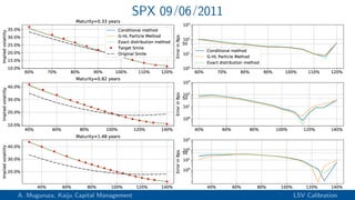 A kernel-free particle method: Smile Problem Resolved | PDF