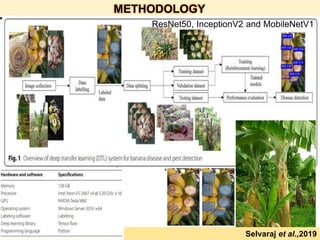 AI to track plant diseases_S.Srinivasnaik.pdf