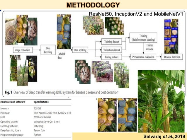 AI to track plant diseases_S.Srinivasnaik.pdf
