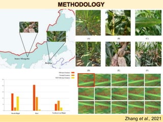 AI to track plant diseases_S.Srinivasnaik.pdf
